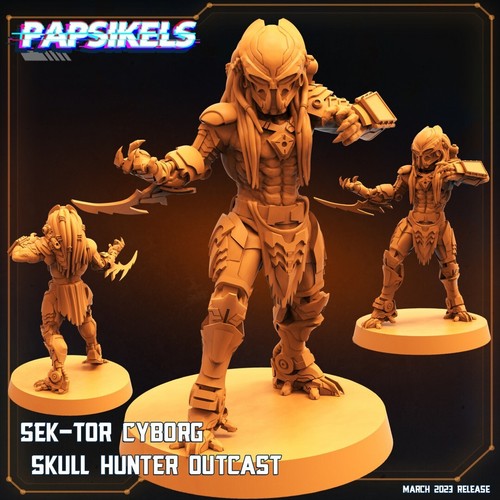 Sek-Tor Cyborg Skull Hunter Predator Alien AVP 32mm Papsikels 8K 3D ...
