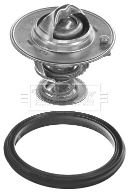 CAPSautomotive Thermostat coolant 2550026100 for Borg & Beck BBT469 | eBay