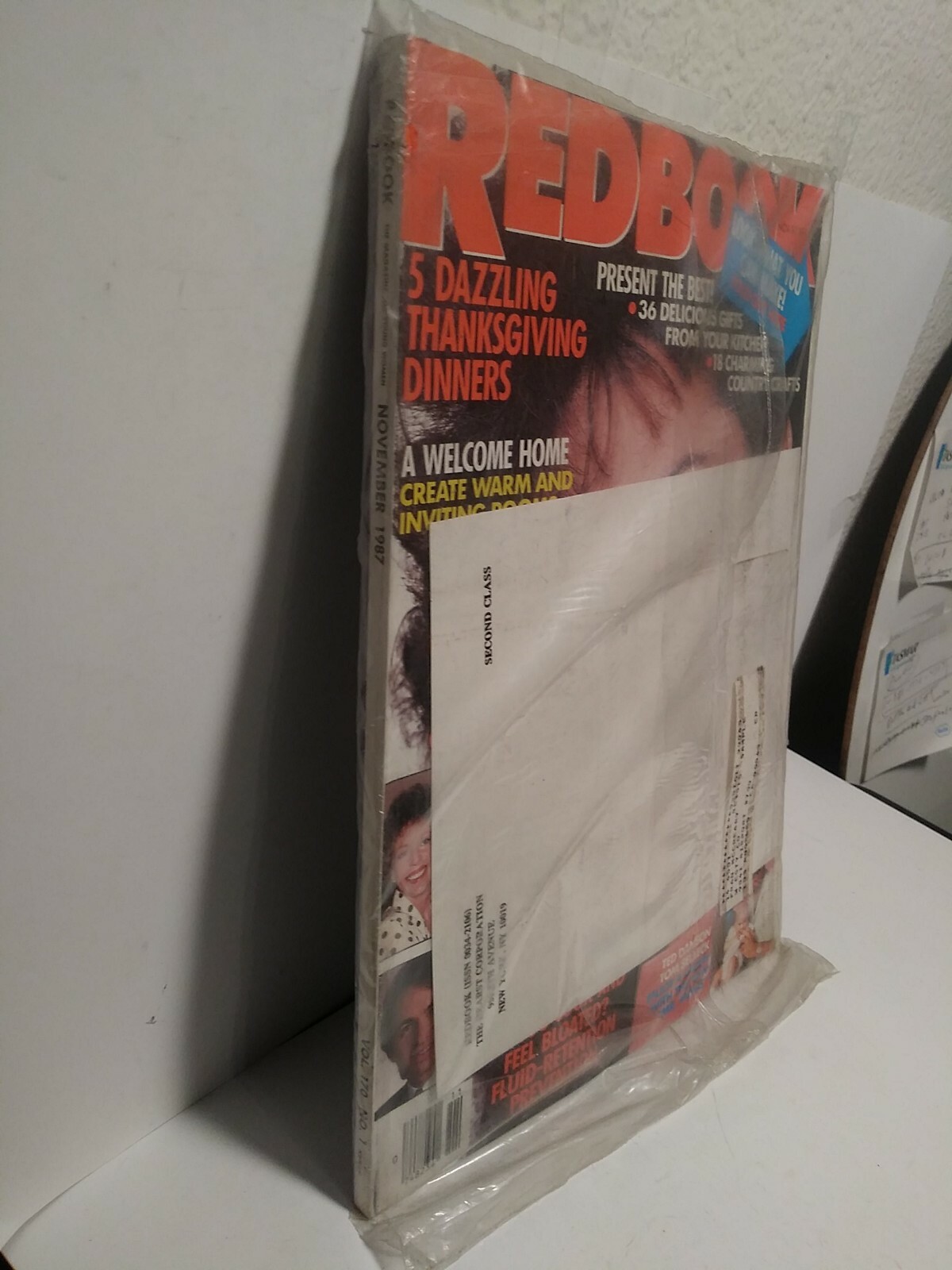 REDBOOK Magazine, NOV 1987, SUSAN LUCCI Cover Photo, TED DANSON NEW M ...