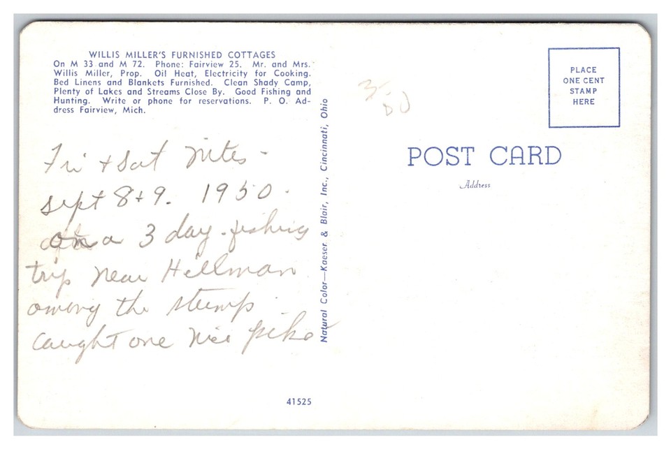 FAIRVIEW MI 1952 VIEW OF THE LONG GONE WILLIS MILLER'S FURNISHED ...