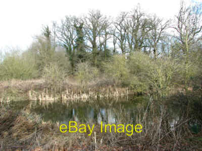 Photo 6x4 Pond in The Carrs Swardeston The term carr is defined as fen ...
