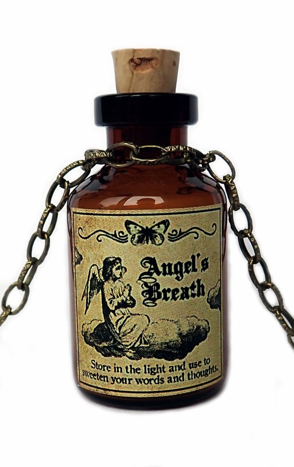 Apothecary Potion Bottle Pendant Poison Necklace Gothic Goth Steampunk ...