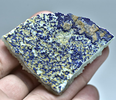 171 CT Extremely Rare Tri-Color Aragonite Crystals With Azurite In ...