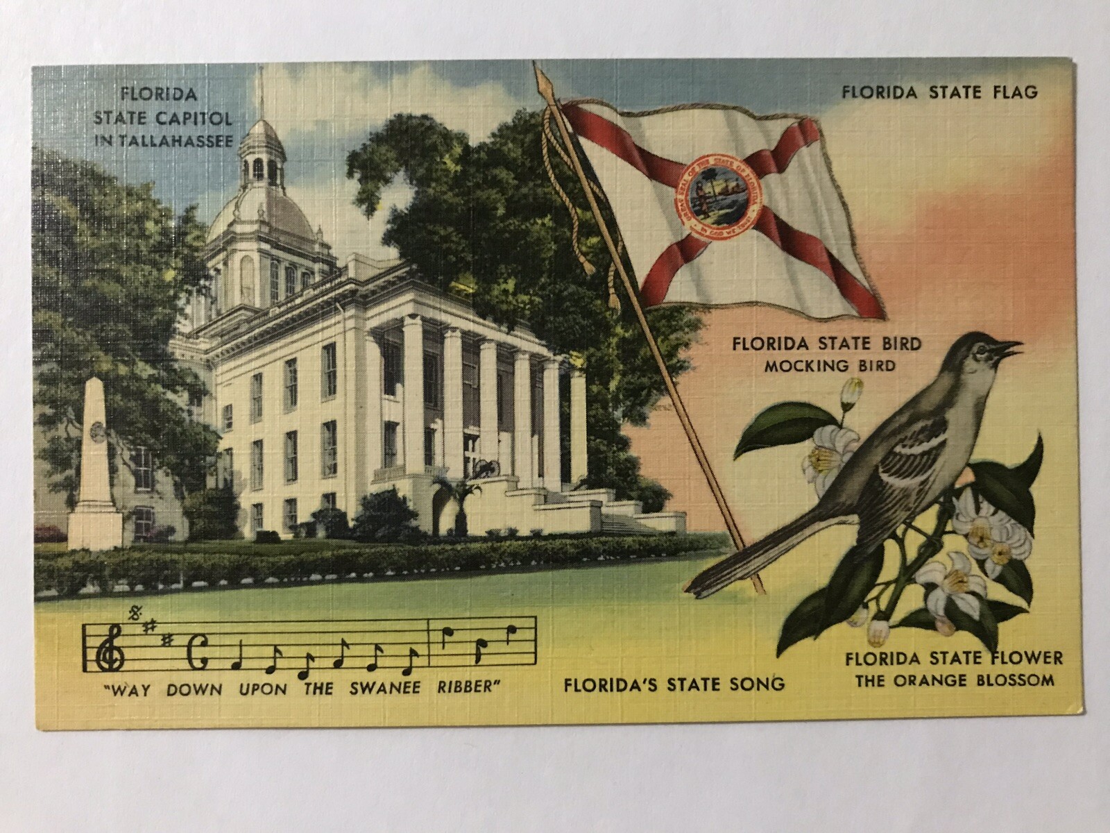 Florida State Capital In Tallahassee Flag Flower Bird Song Linen ...