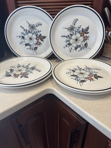 Vintage Town & Country Stoneware Dinner Plates Blue Ridge Pattern - Set ...