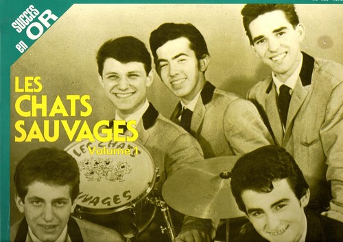 Les Chats Sauvages Lp Sonopresse Succes En Or Vol 1 Fr Ebay