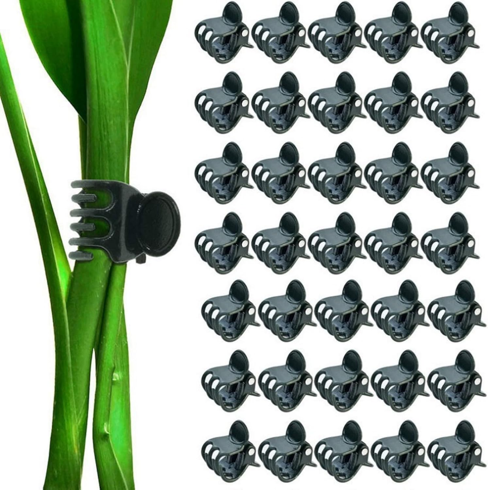 100 Pcs Plant Clips for Climbing Plants, Reusable Gardening Support ...