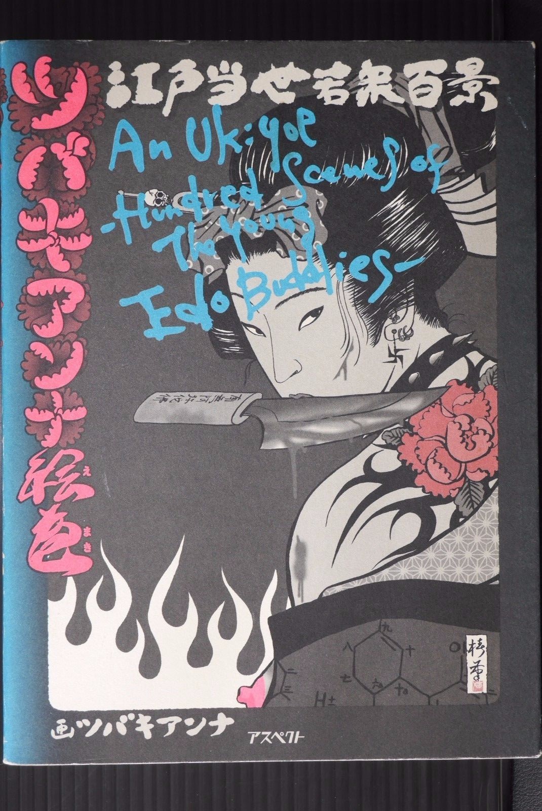 JAPAN Anna Tsubaki Emaki: Hundred Scenes of The Young Edo Buddlies (Art ...