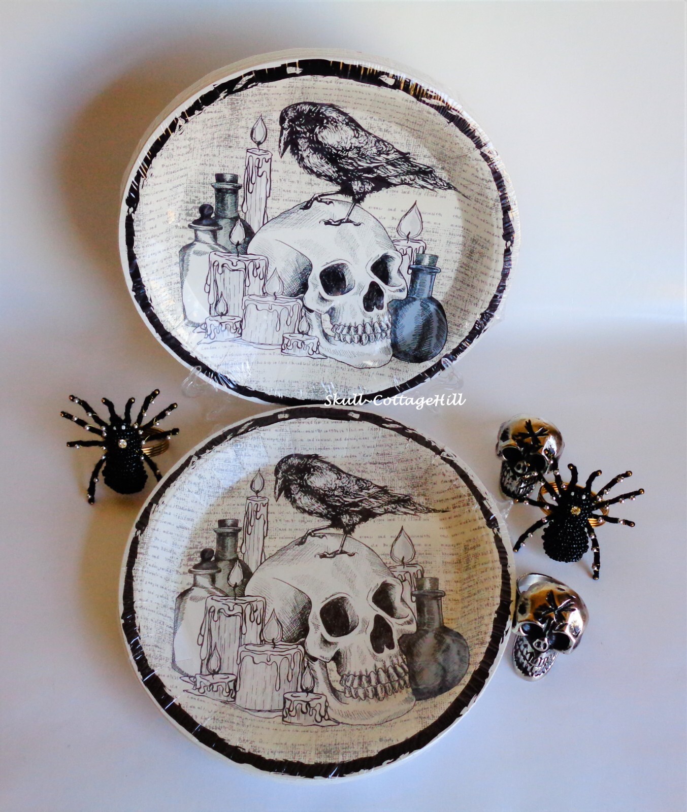 New Skull Skeleton Raven Wicked Gothic Party 32 Paper Plates 8.75 ...