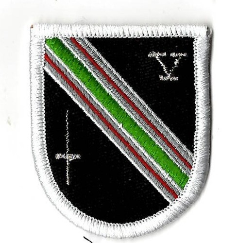 US ARMY 5th SPECIAL FORCES GROUP TASK FORCE DAGGER MILITARY PATCH | eBay