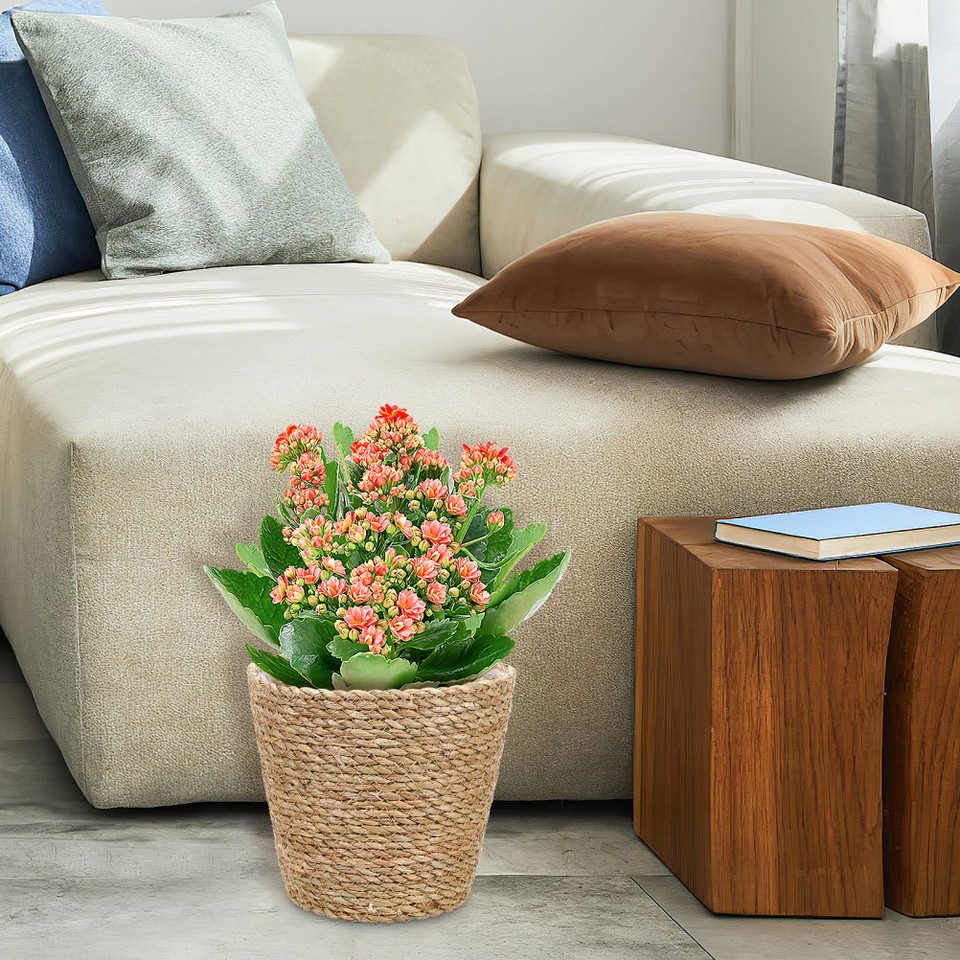 Flower Pot Natural Storage Basket Hand-woven Holder Floor Decorative ...