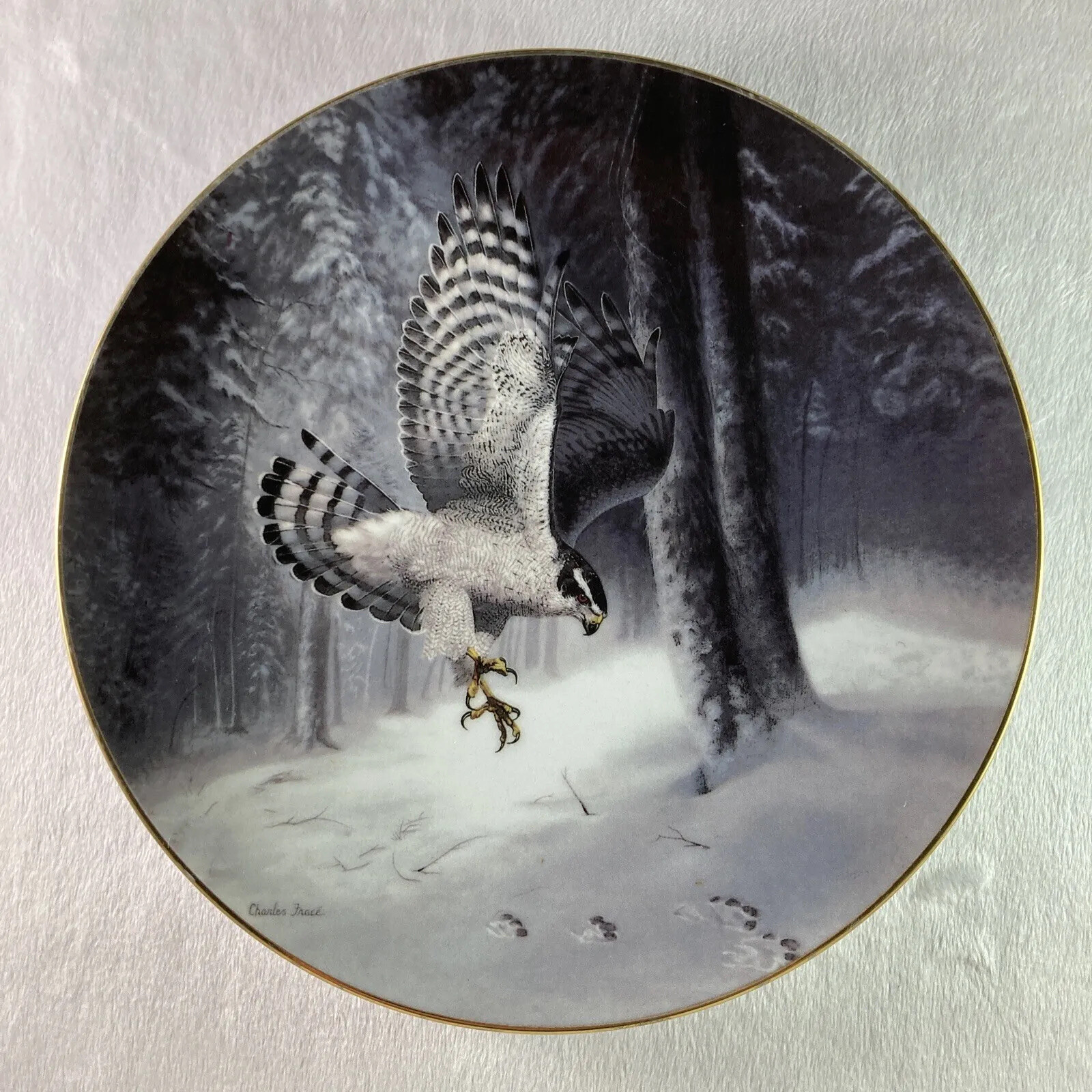 THE NORTHERN GOSHAWK Plate Soaring Majesty #2 Birds of Prey Charles ...