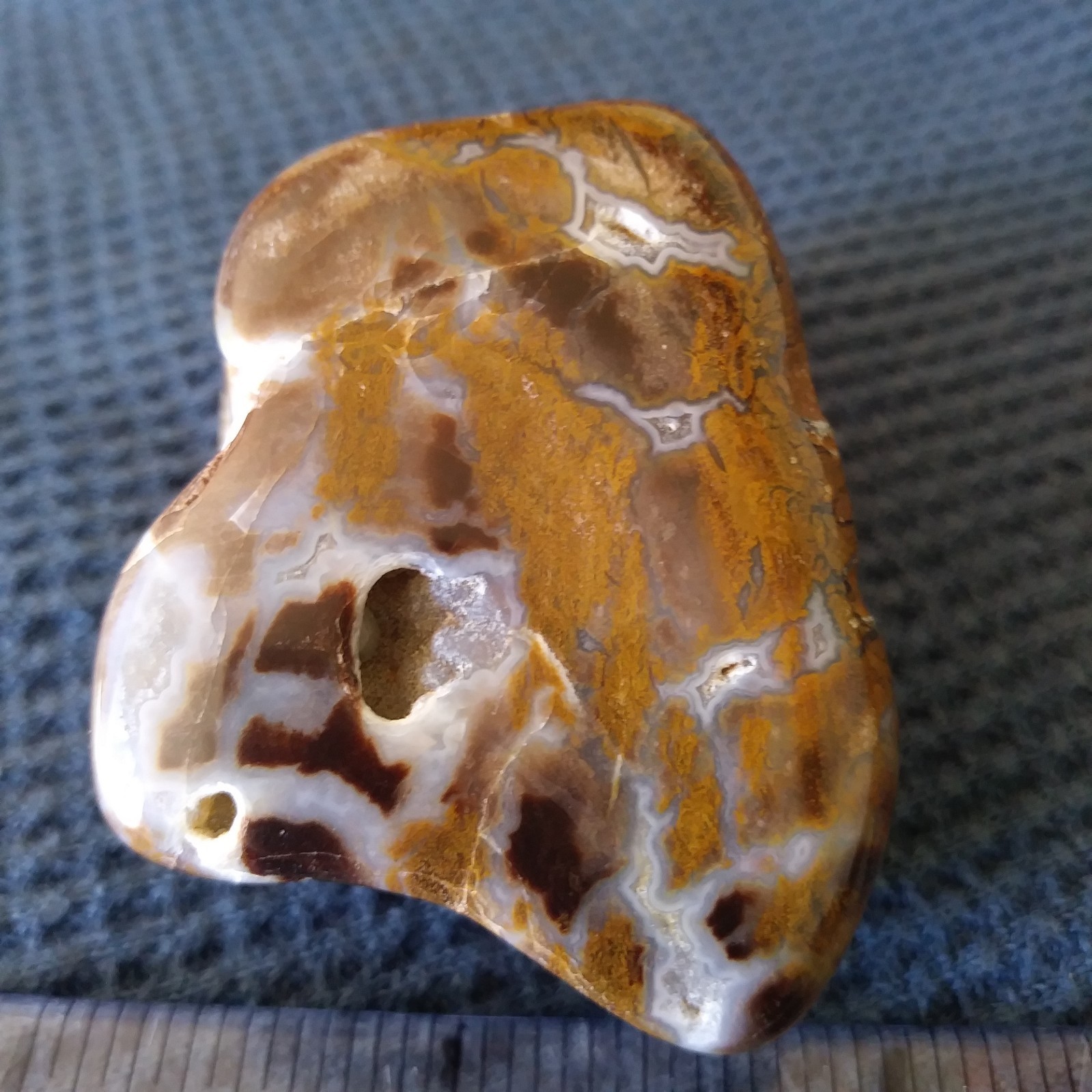 Agate Petrified Colorado Wood Polished | eBay
