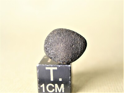 meteorite Chelyabinsk chondrite LL5 exceptional strongly oriented stone ...