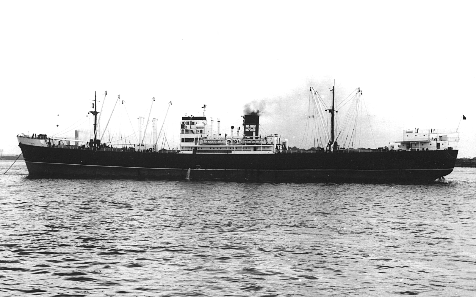 Tyrone Ship of the Avenue Line Shipping Co OLD PHOTO | eBay Australia