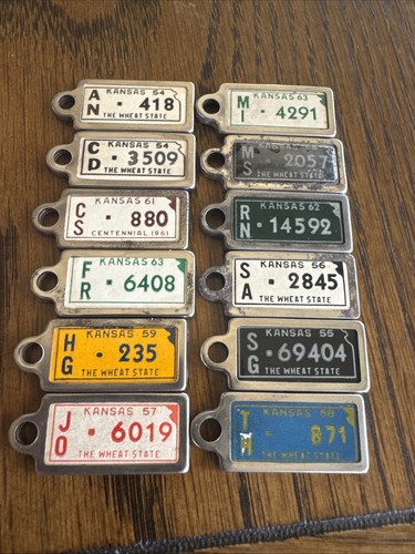 (12) Different Counties Of Kansas DAV License Plate Keychain Tags | eBay