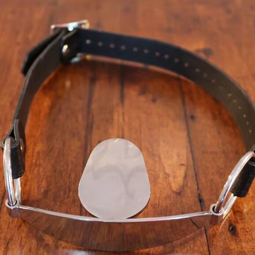 Metal Tongue Open Mouth Gags Depressor Deep Throat BDSM Binding Couples ...