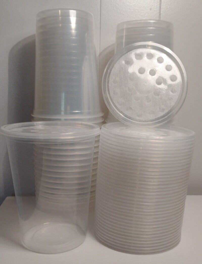 36 cups and vented lids. Perfect of fruit fly cultures. Free Shipping ...