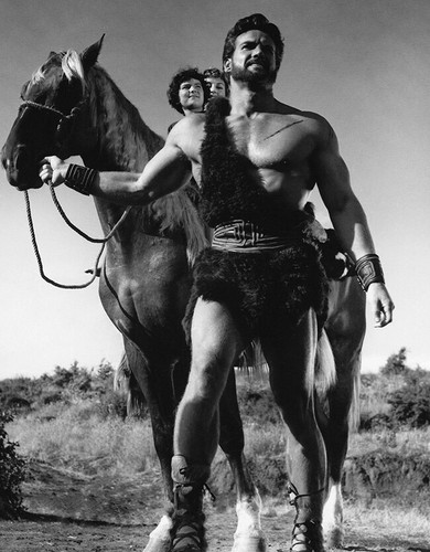Steve Reeves - Hercules (1958) - 8 1/2 X 11 | eBay