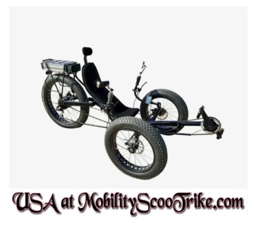 Layback recumbent tricycle trike | eBay