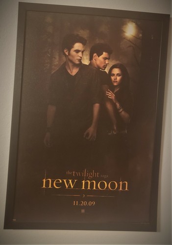 Twilight Saga New Moon Canvas Painted & Textured Framed Movie Art | eBay