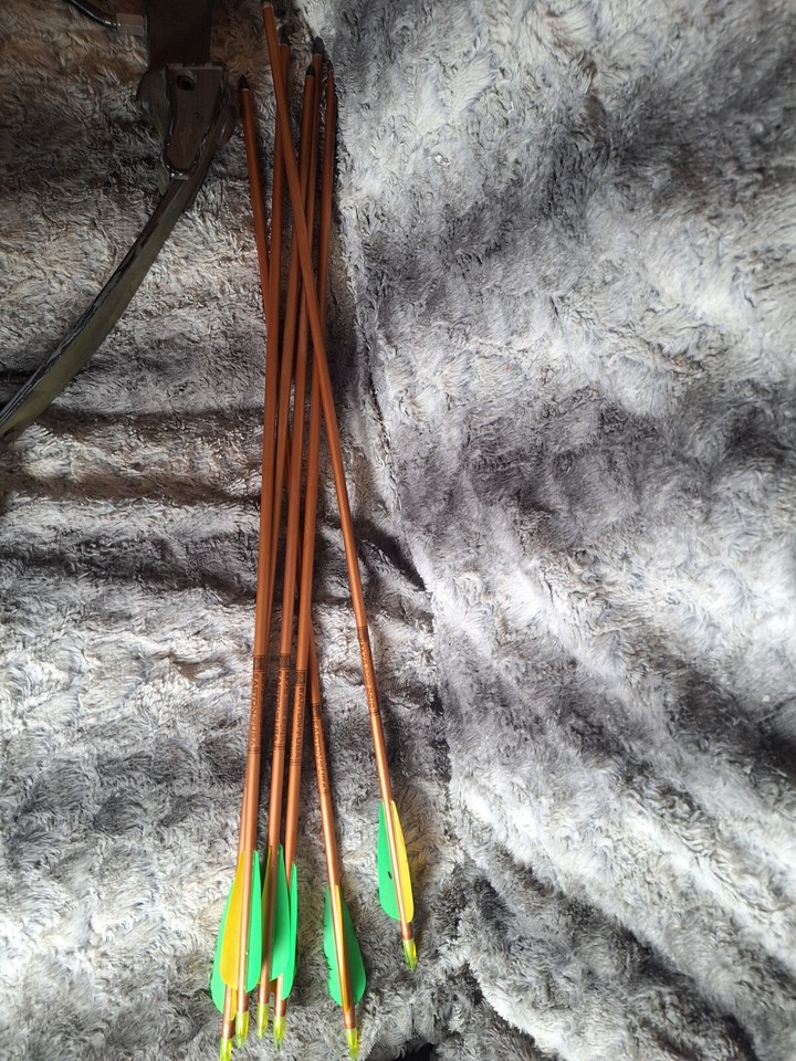 Bear Flare II Compound Bow Camo | eBay