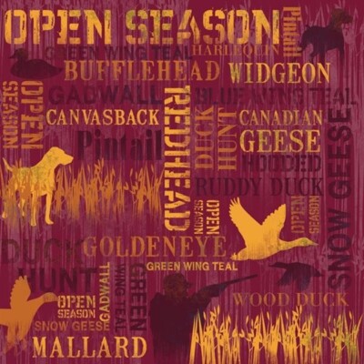 Hunting, Open Season - scrapbook paper - Karen Foster Design - 64602 | eBay