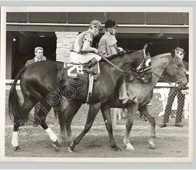 VINTAGE HORSE RACING 1960s Press Photo JOCKEYs On Horses at Track | eBay