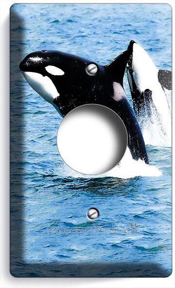 ALASKA KILLER WHALE ORCA BABY LIGHT SWITCH OUTLET WALL PLATE COVER ROOM ...