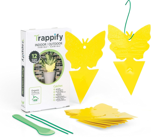 Trappify Sticky Gnat Traps for House Indoor - Yellow Fruit Fly Traps ...