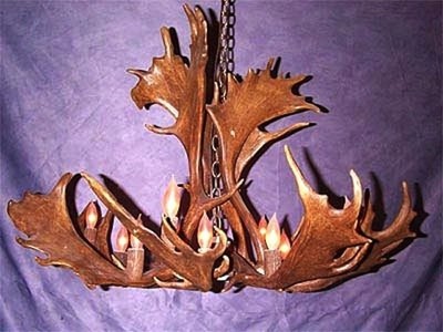 REAL ANTLER SINGLE TIER FALLOW DEER CHANDELIER 12 Lights, Rustic Lodge ...
