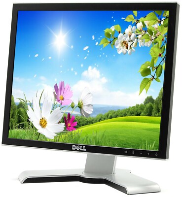 Dell 19" LCD Monitor for Desktop Computer PC- Working Grade A - QUICK ...