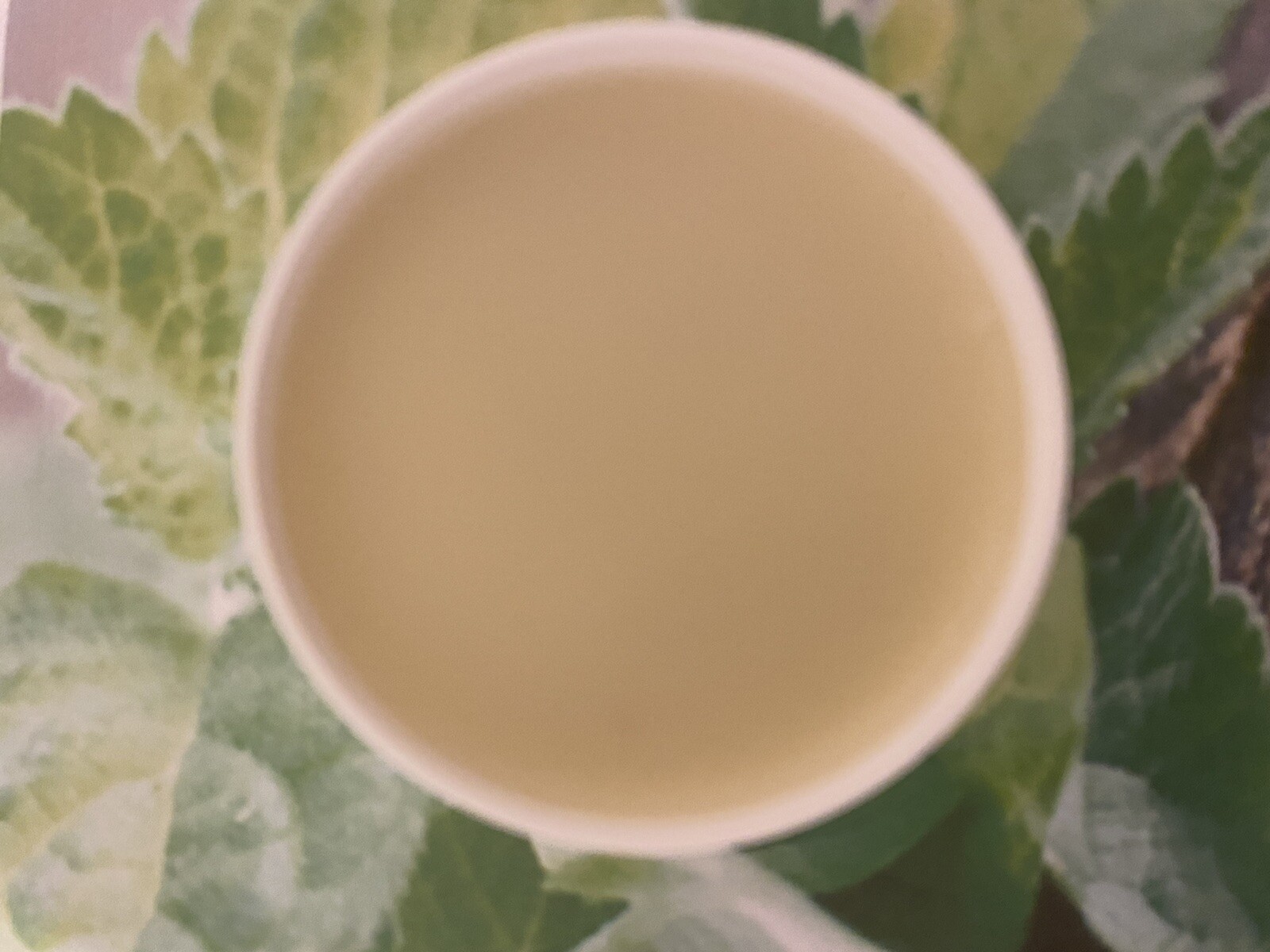 Natural Handmade Peppermint Rosemary Loc Twist Braid Butter Chemical ...