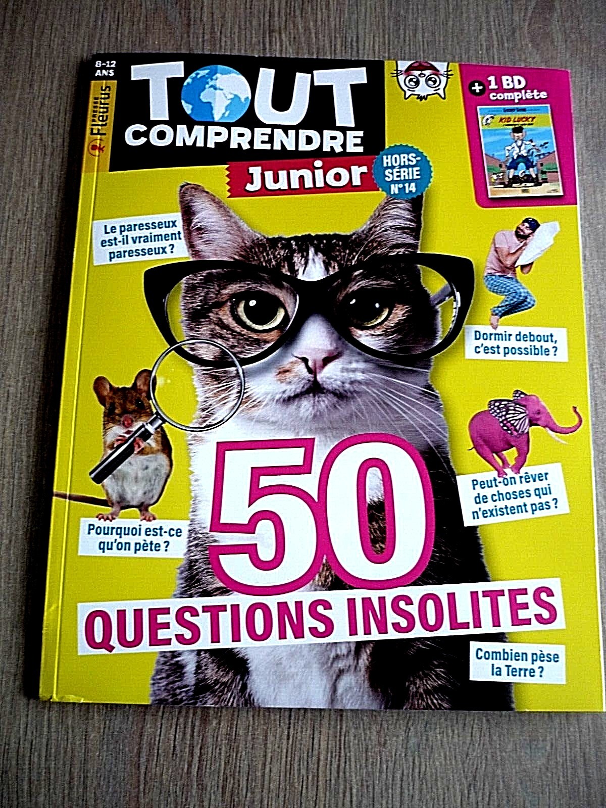 TOUT COMPRENDRE JUNIOR HS N° 14 - OCTOBRE 2022 / 50 QUESTIONS INSOLITES ...