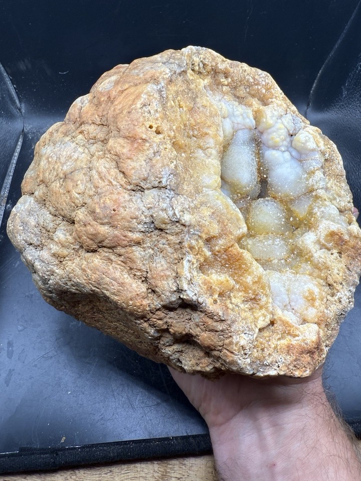 Fossilized Indiana Geode Crystal Druzy Agate Crinoid 16,820 Carats | eBay