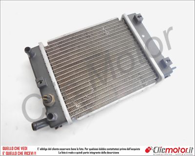 Radiator for Kymco Grand Dink 150 2001-2002 | eBay