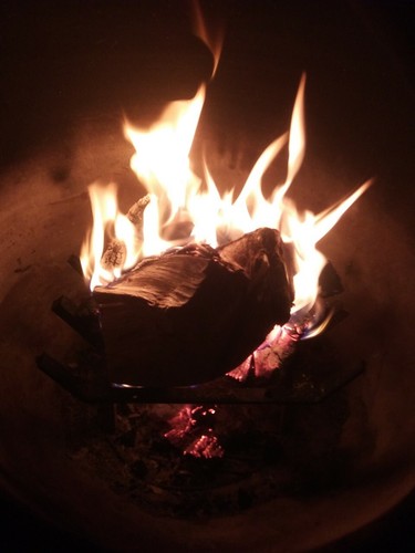 Western Pinon Mini Logs WW Wood Inc 78104 UPC 078342781048 for sale ...