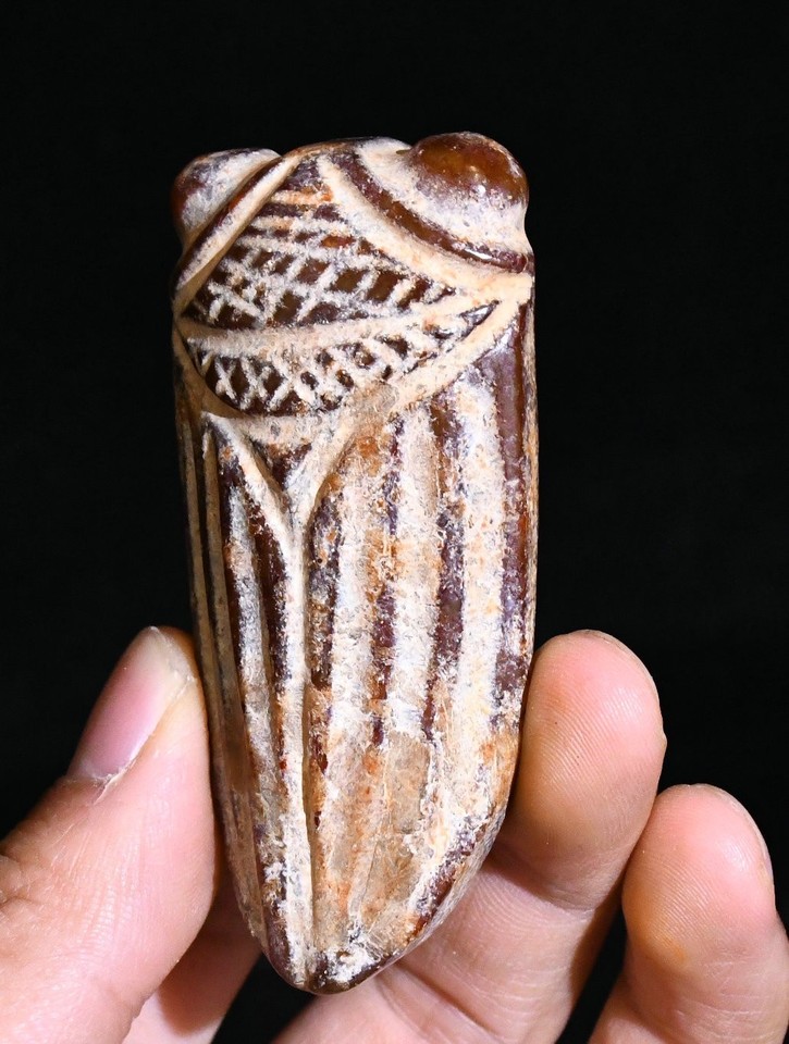 2.9 '' China Hongshan Kultur Alte Jade Insekt Cicada Cicala Amulet ...