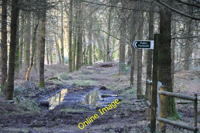 Photo 12x8 Mid Devon : Blackborough Common Blackborough/ST0909 ...