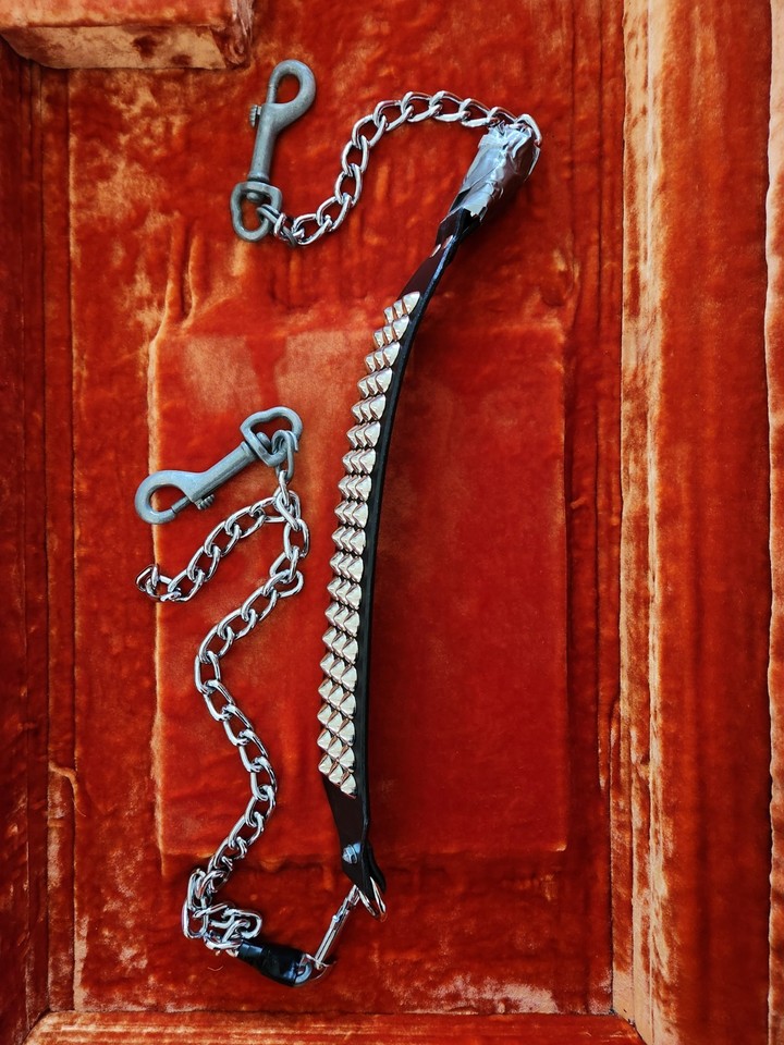 1978 Van Halen EVH Eruption Guitar Chain Strap | eBay