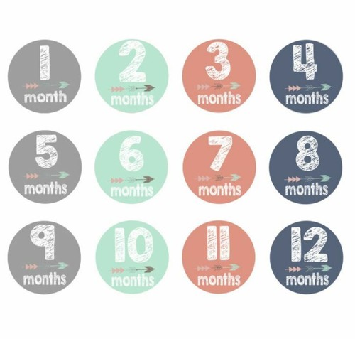 Baby Pregnancy Month Milestone Stickers Birth to 12 Months Shower ...