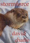 Stormforce, an Otters Tale, David Chaffe, Used; Good Book | eBay