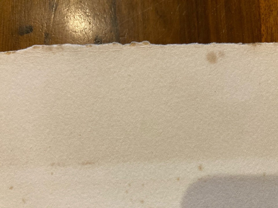 Belle Large Engraving Embossing Jean Claude Reynal Landscape Paper ...