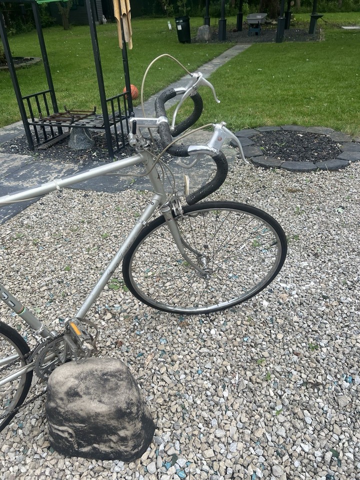 Original 1970 Fuji 12 Speed Racing Bike . Hand Made In Japan . Well ...