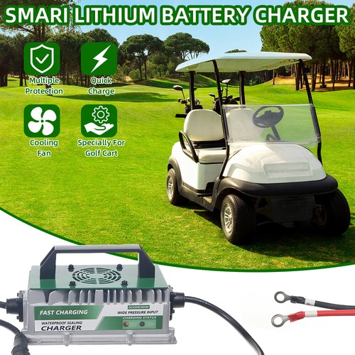 18A 48V Golf Cart Lithium LiFePO4 Deep Cycle Rechargeable Battery Smart ...