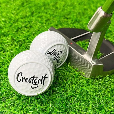 Putting Training Golf Training Discs Swing Golf Putting Practice Ball ...