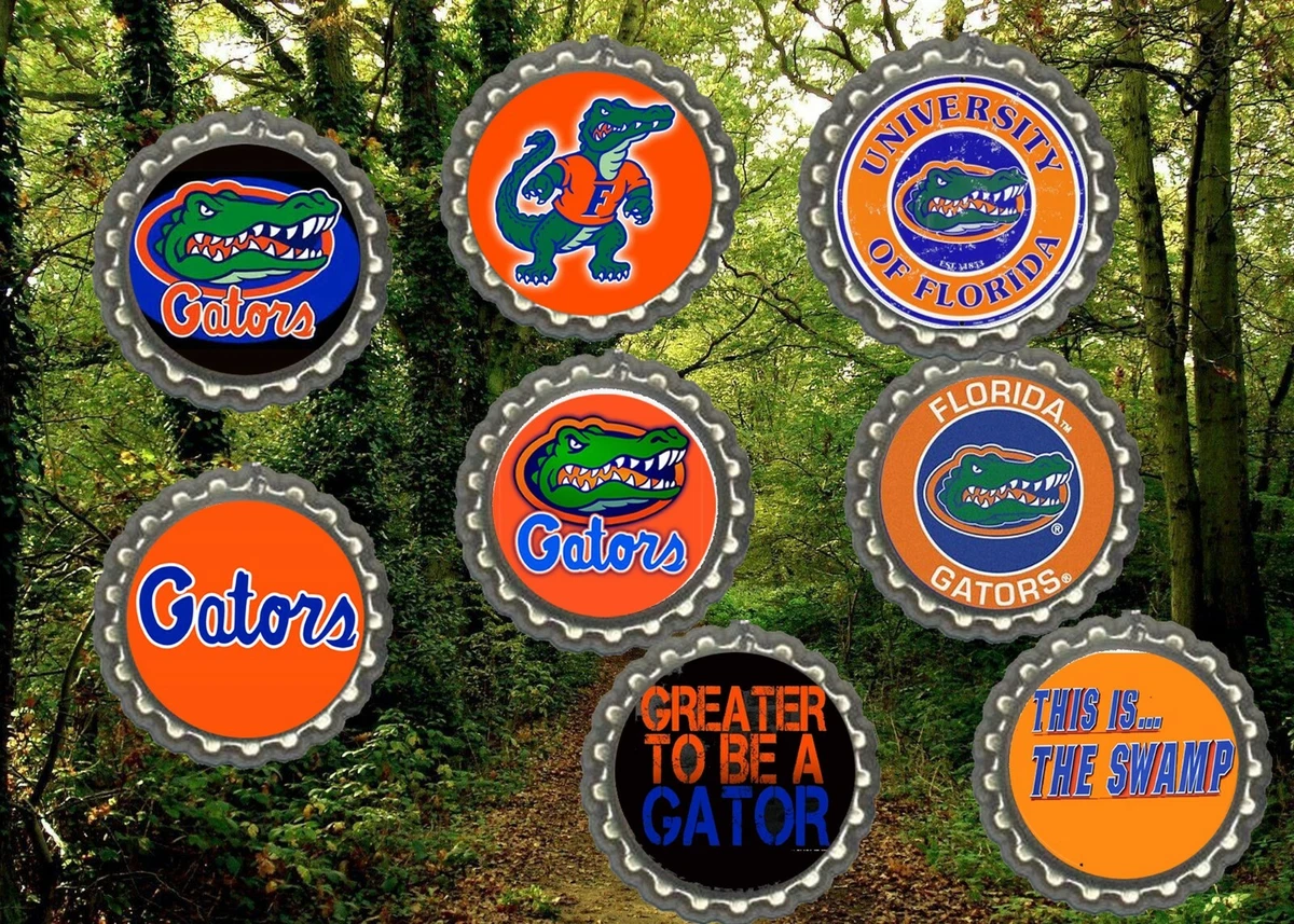 Cool Gators Logo
