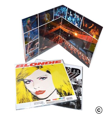 20 12” Inch 2 X LP Vinyl Double Gatefold Album Plastic Outer Record ...