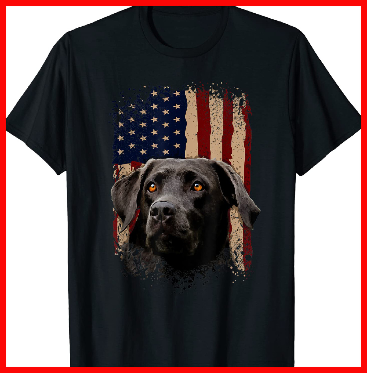 American Labrador Retriever Black