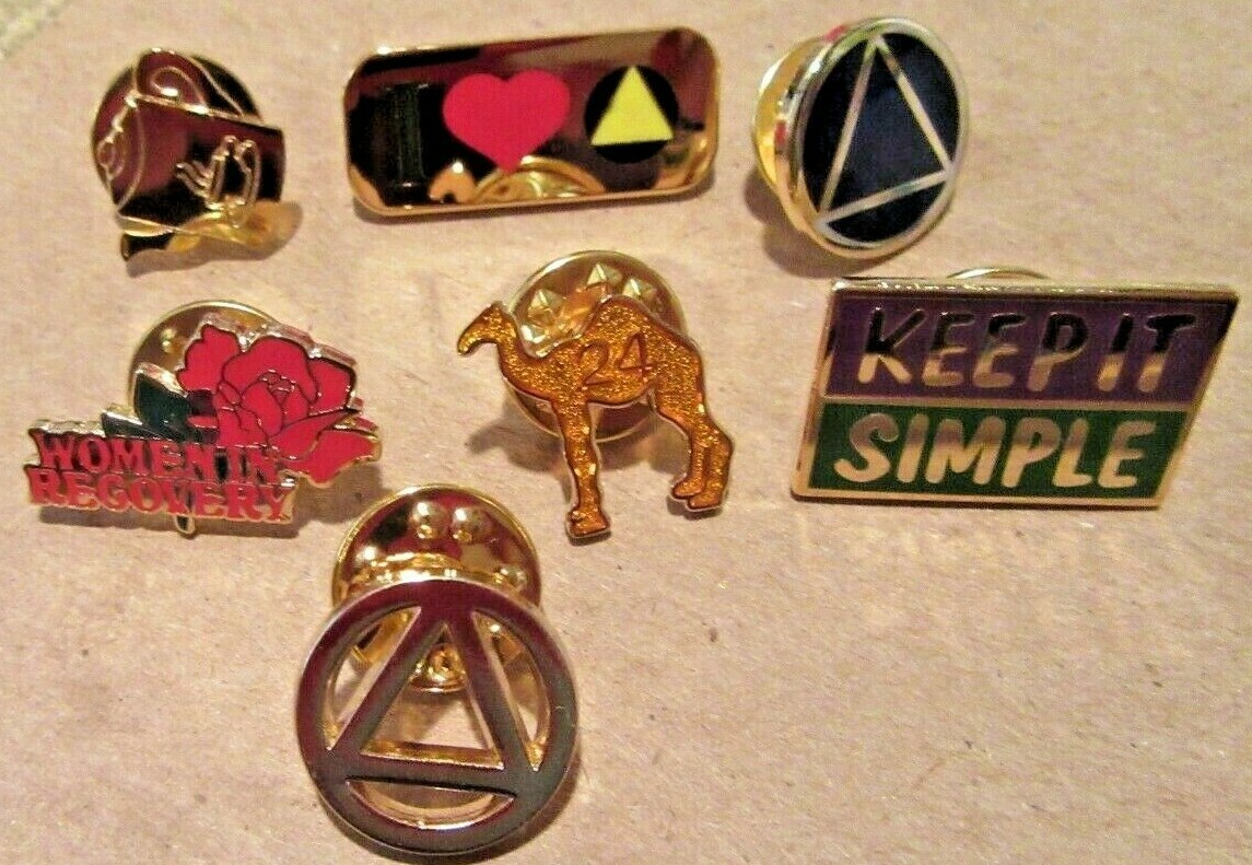Alcoholics Anonymous AA Symbols Lapel Hat Vest Pin Recovery Sobriety ...